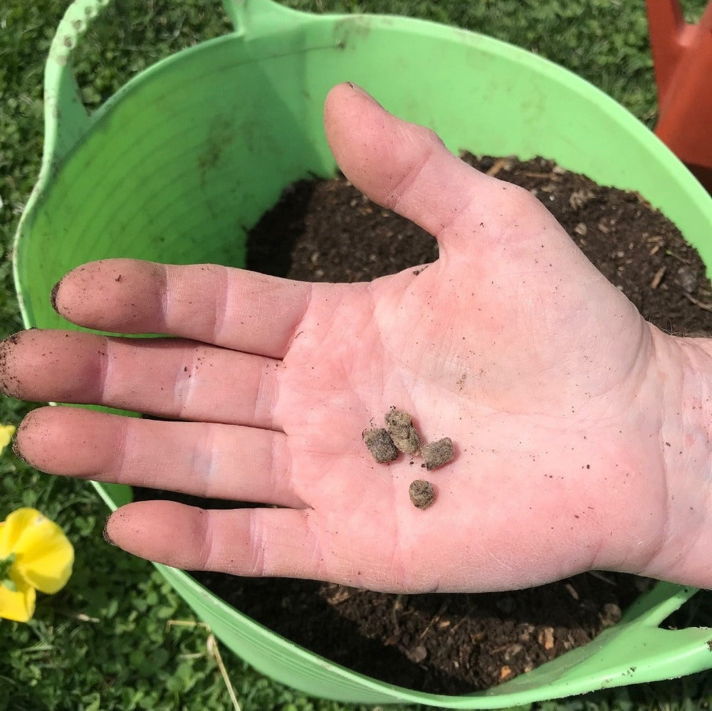 Sally's Garden wool pellet organic fertilizer – Topsy Farms